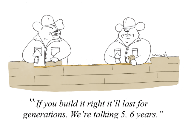 build it right | Leonard Cartoons